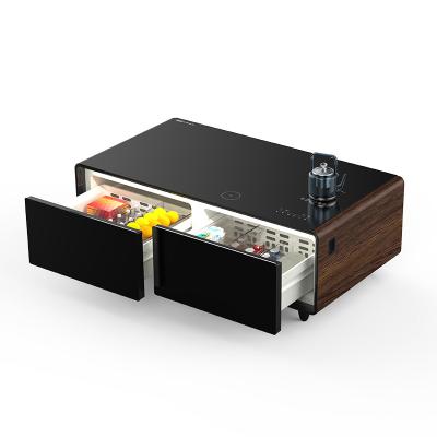 China Primst Smart Fridge Dual Door Mini Refrigerator Modern Furniture for 220V-240V Voltage for sale