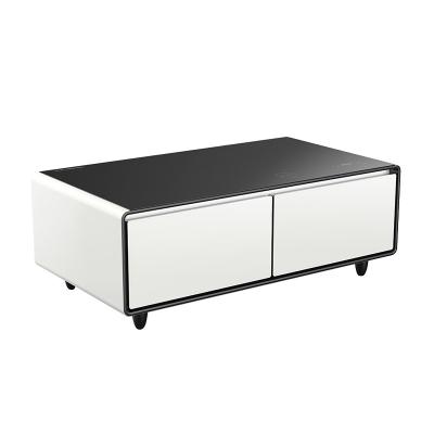China Customized Color Wine Cooler Fridge Smart Coffee Table Dual Compressor App-Controlled for sale