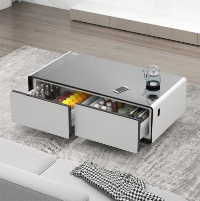 China Multi-purpose 135L Smart Refrigerator with Speakers and Private Mold Electronic Cooler for sale