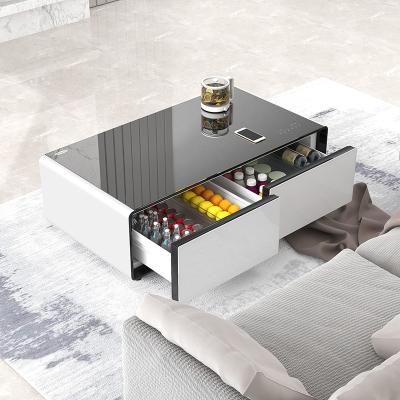 China USB Installation Primst Mini Refrigerator Coffee Table for Home Living Room Furniture for sale