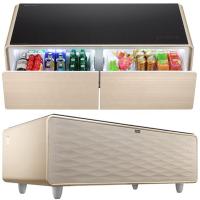 China Portable Smart Refrigerator with Touch Screen and Music Player 3D Printing Technology for sale