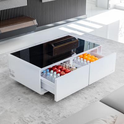 China 2024 USB Charging Port Smart Touch Screen Cooler Drawer Refrigerator for Home Furniture for sale