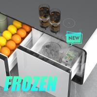 China Summer Frozen Small Refrigerator The Ultimate Addition to Your Outdoor Gatherings for sale