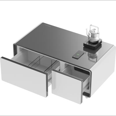 China Smart Refrigerator Modern Style Compressor Mini Coffee Table with Wireless Charging for sale