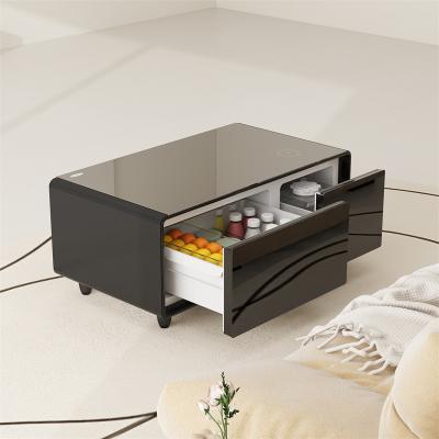 China Modern Living Room Furniture Fridge Table Refrigerator with 90L Refrigerated Drawer for sale