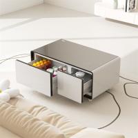 China Modern Living Room Furniture Fridge Table Refrigerator with 90L Refrigerated Drawer for sale