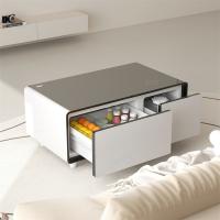 China Modern Living Room Furniture Fridge Table Refrigerator with 90L Refrigerated Drawer for sale