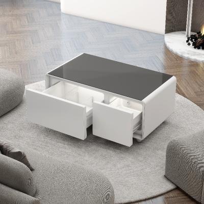 China Wireless Charger Equipped Primst Wine Cooler with Modern Design and 93L Capacity for sale
