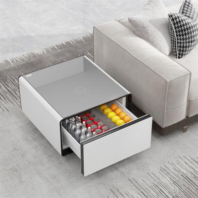 China Temperature-Regulated Bedside Table Mini Fridge and Wireless Charging for Smart Homes for sale