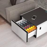 China Private Mold Smart Mini Fridge for Hotel Bedroom Living Room Furniture Refrigerator for sale