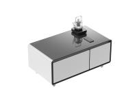 China 2024 Smart Coffee Table Refrigerator with Temperature Range 3 8 C/6- 12 C Folded NO for sale
