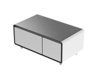 China 2024 Smart Coffee Table Refrigerator with Temperature Range 3 8 C/6- 12 C Folded NO for sale