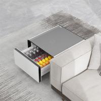 China Mini Fridge Sofa Side Cabinet TB65 Coffee Tables Refrigerator with Modern Design for sale