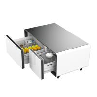 China Primst 2024 Smart Coffee Table Fridge Home Furniture with Refrigerator 45KG Gross Weight for sale