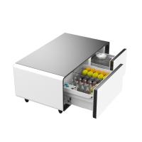 China Primst 2024 Smart Coffee Table Fridge Home Furniture with Refrigerator 45KG Gross Weight for sale