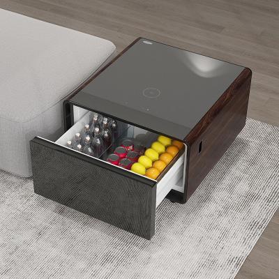 China Bedroom and Living Room Furniture Multifunctional Refrigerator with Wireless Charging for sale