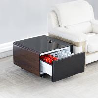 China PRIMST 2024 Mini Refrigerator Coffee Table The Ultimate Smart Furniture for Your Home for sale