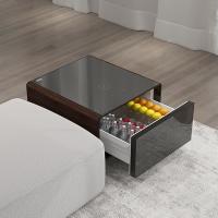 China PRIMST 2024 Mini Refrigerator Coffee Table The Ultimate Smart Furniture for Your Home for sale