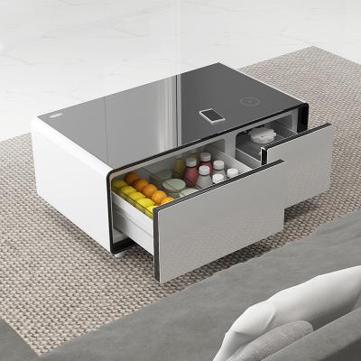 China Multifunctional Smart Coffee Table Side Table Refrigerator for General Home Furniture for sale