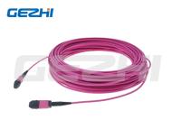 China Customized Length MPO OM4 Patch Cable with Low Insertion Loss for Data Center Connectivity for sale