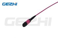 China 12 / 24 Cores Patch Cable Series MTP MPO Cable OM3 OM4 OM5 3.0mm for sale