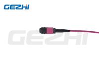China 12 / 24 Cores Patch Cable Series MTP MPO Cable OM3 OM4 OM5 3.0mm for sale