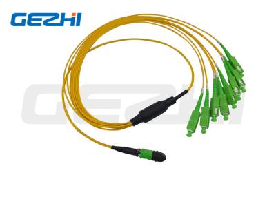 China MTP/MPO Trunk Cabe 12 cores/24cores/48 cores/72cores/96 cores/144cores OS2 Optical Fiber Patch Cord for sale