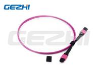 China 12 Fibre Multimode Patch Cable Series Female OS2 9/125 MPO Cable for sale