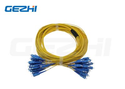 China 12 core Singlemode Indoor Fiber Optic Patch Cord with SC connector for sale