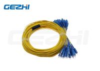 China 12 core Singlemode Indoor Fiber Optic Patch Cord with SC connector for sale