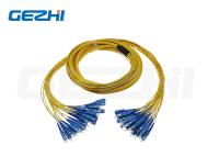 China 12 core Singlemode Indoor Fiber Optic Patch Cord with SC connector for sale