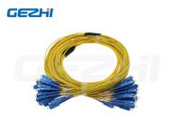 China 12 core Singlemode Indoor Fiber Optic Patch Cord with SC connector for sale