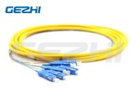 China OFNP Jacket 6Cores/12Cores SM SC Optical Fiber Pigtail Distribution Cable Multimode Fiber Optic Cable for sale