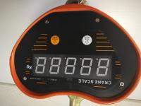 China 50KG Electronic Crane Scale With Digital Weighing Hook Balance for sale