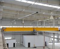 China ABM Motor FEM 5Ton Single Beam European Overhead Crane With Electric Trolley for sale