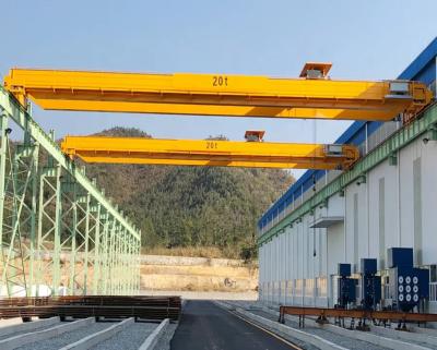 China European FEM Standard Double Girder Crane Efficient Lifting Modular Structural Design for sale