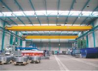 China Efficiency Single Girder Overhead Crane A3-A5 Working Class 1-32t Lifting Capacity for sale