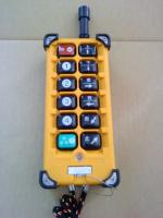 China Telecrane F23 Series F23-A++ Industrial Wireless Crane Remote Control for sale