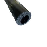 China Extruded NR Windshield Window Sealant Strip Delicate and Meticulous Sealing Solution for sale