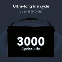 China Exliporc 12 Volt Custom Sodium Ion Battery with Integrated BMS Protection for Energy Storage for sale
