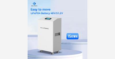 China 48V 300Ah 15kWh Wall Mountable Lithium Ion Battery for Home Energy Storage for sale