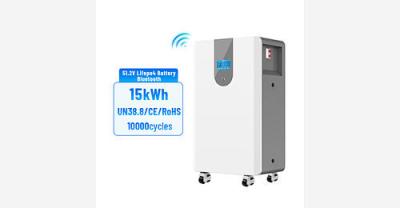 China 15kWh 51.2V LiFePO4 Lithium Power Battery for Home Energy Storage and Backup for sale