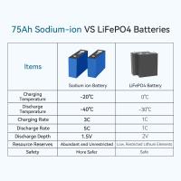 China Exliporc 75Ah 3V Sodium Ion Battery 3000 Cycles for Electric Vehicle Battery Pack for sale