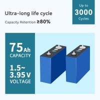 China Exliporc 75Ah 3V Sodium Ion Battery 3000 Cycles for Electric Vehicle Battery Pack for sale