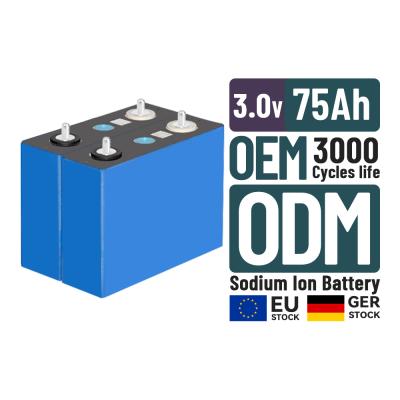 China Exliporc 75Ah 3V Sodium Ion Battery 3000 Cycles for Electric Airplanes Trains for sale