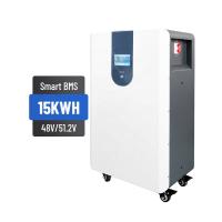 China EXLIPORC 51.2V 300Ah 15kWh LiFePO4 Lithium Battery for Solar Home Storage for sale