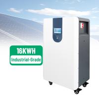 China 16kWh 51.2V IP65 Wall Mount LiFePO4 Battery Home Energy Storage System with BMS for sale