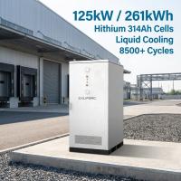 China Hithium 261kWh Liquid Cooling BESS 125kW 832V Commercial Energy Storage System 8500 Cycles for sale