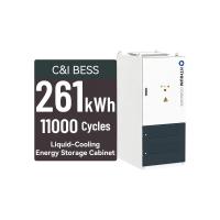 China 125KW 261KWH Liquid-Cooled LiFePO4 Energy Storage Cabinet for Off-Grid Commercial Use for sale