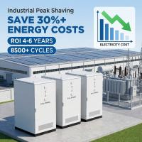 China 125kW 261kWh Liquid Cooling BESS Hithium 314Ah Industrial Peak Shaving System for sale